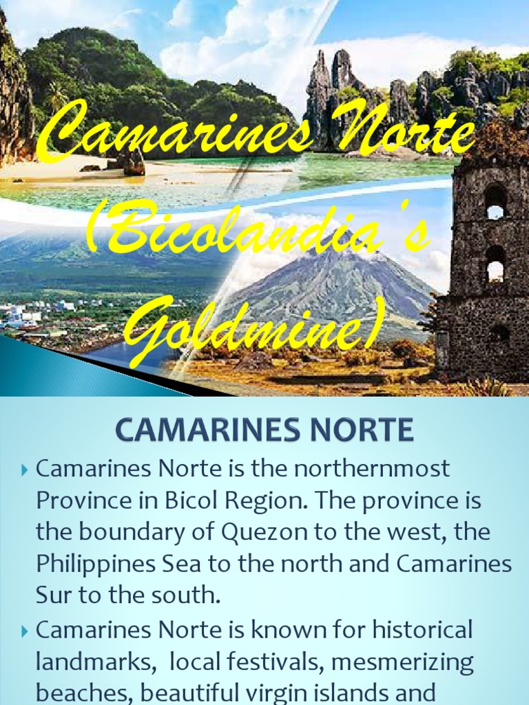Camsur&camnor | PDF | Cooking, Food & Wine