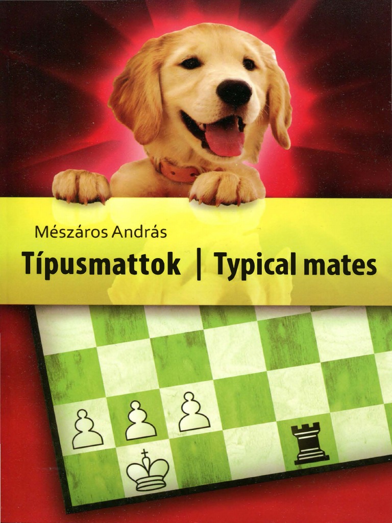 Typical Mates PDF | PDF | Board Games | Competitive Games