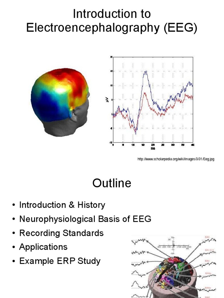 EEG Introduction | PDF | Electroencephalography | Event Related Potential