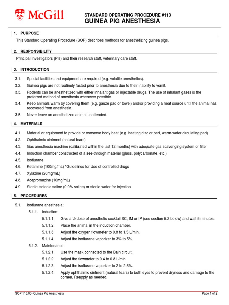 113-Guinea Pig Anesthesia 0 | PDF | Anesthesia | Medical Treatments