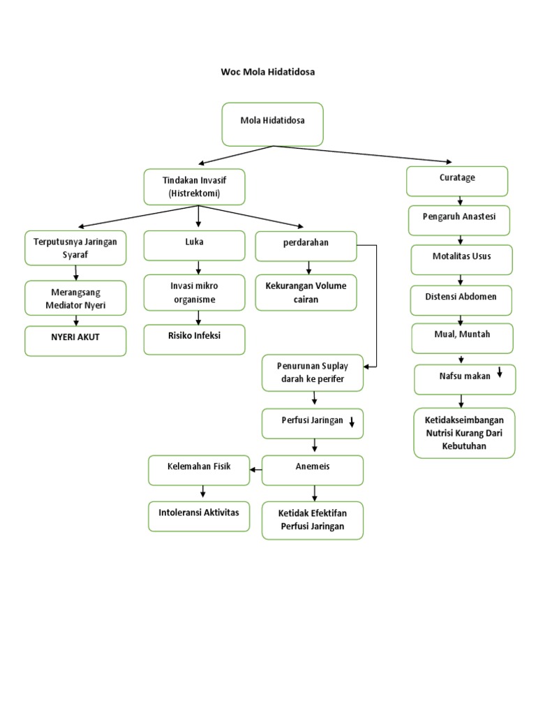Woc Mola Hidatidosa | PDF
