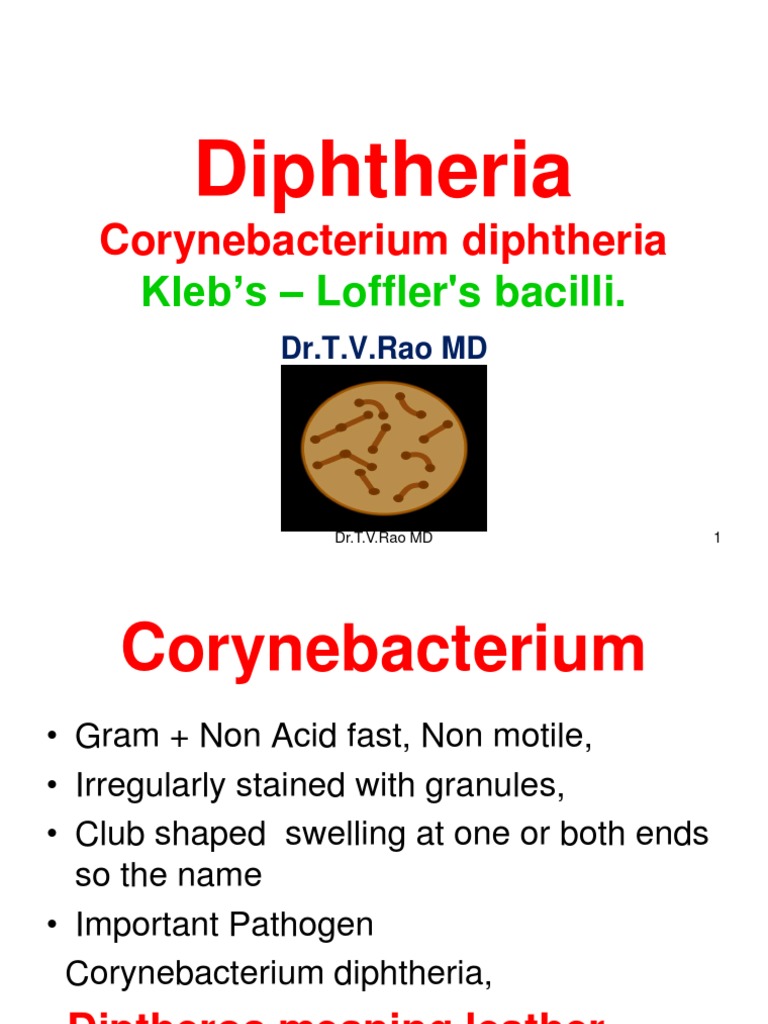 Corynebacterium Diphtheriae Colony Morphology