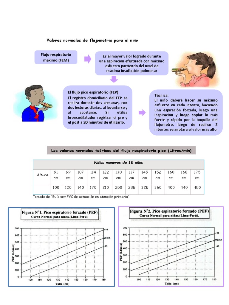 Flujometria | PDF | Sistema respiratorio | Respiración