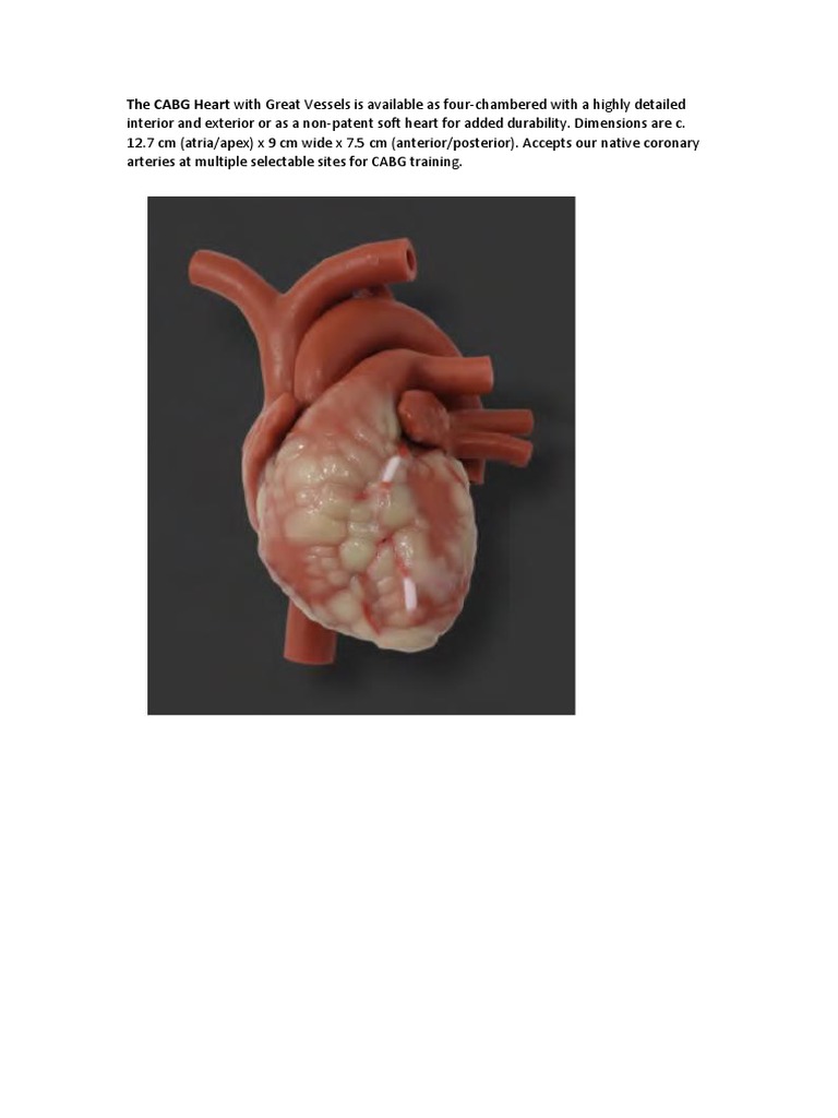Heart Pathologies Design | PDF