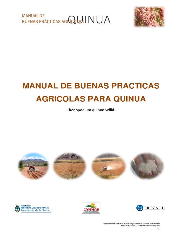 Manual BPA Quinua | PDF | Alimentos | Plaga (organismo)