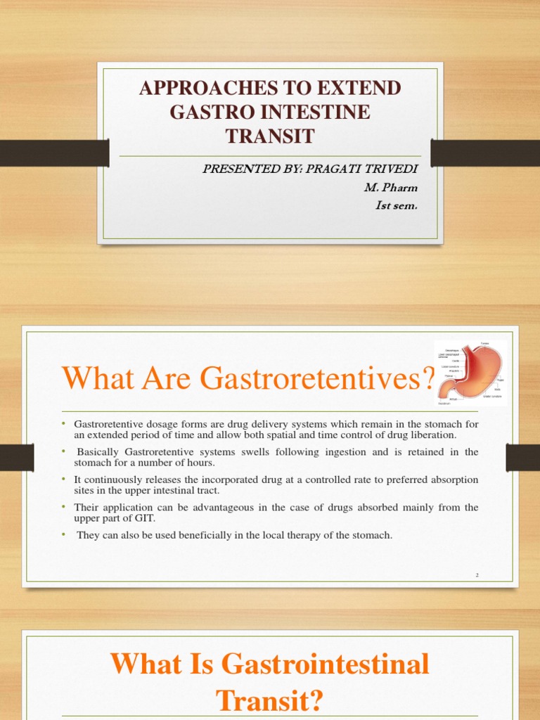 Extending Gastrointestinal Transit Time | PDF | Gastrointestinal Tract ...