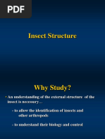 Tagmosis | PDF | Insects | Arthropodology