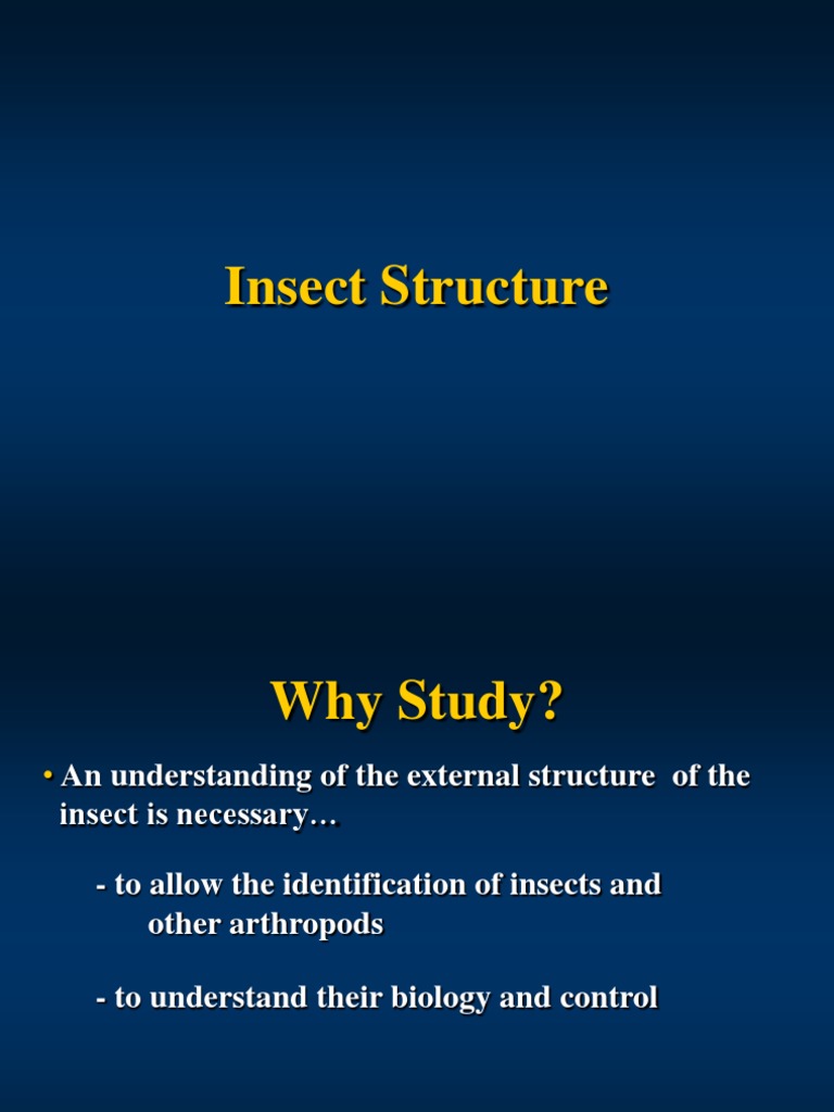 An Introduction to Insect Structure and Function: Understanding the ...