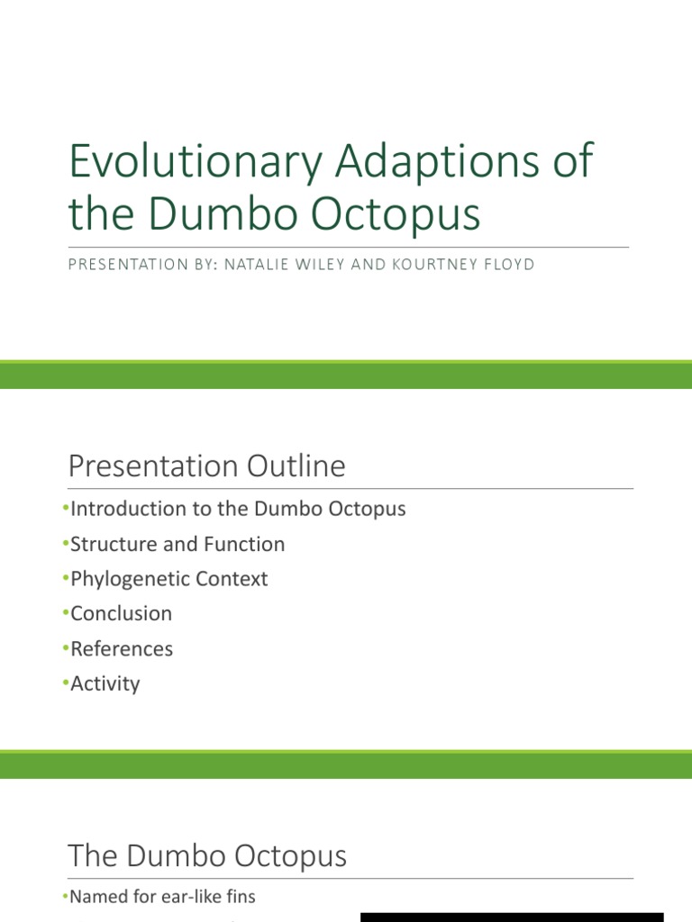 Dumbo Octopus | PDF