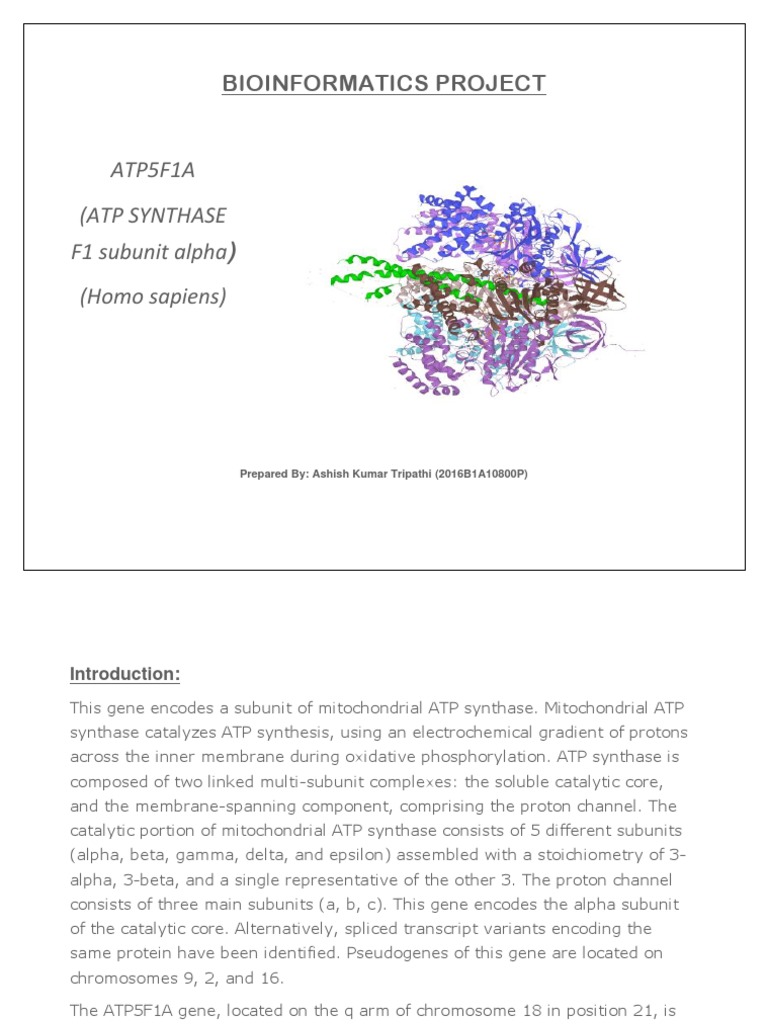 Project 2016B1A10800P | PDF | Biochemistry | Chemistry