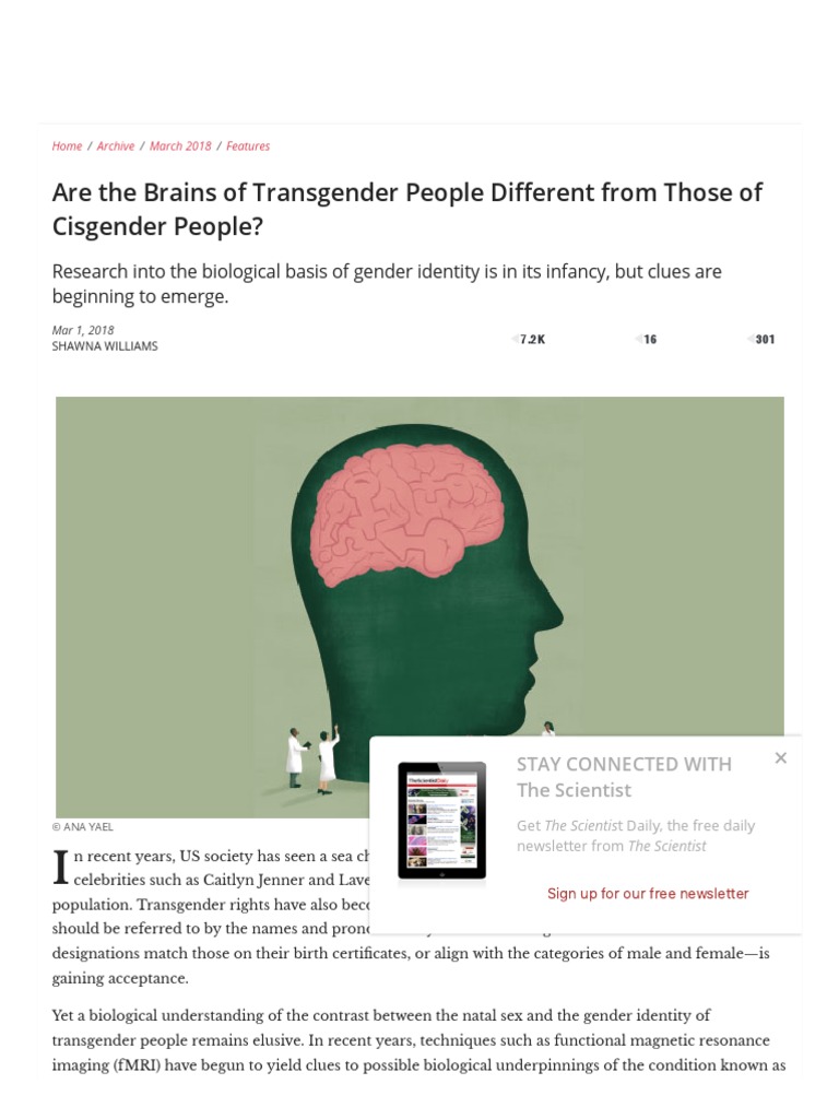 Transgender Brain | PDF | Gender Identity | Gender