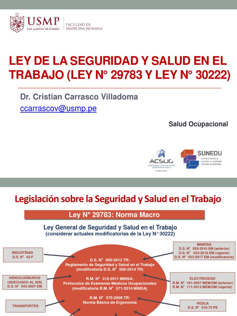 Ley 29783 Seguridad y Salud en El Trabajo | Castigos | Seguro