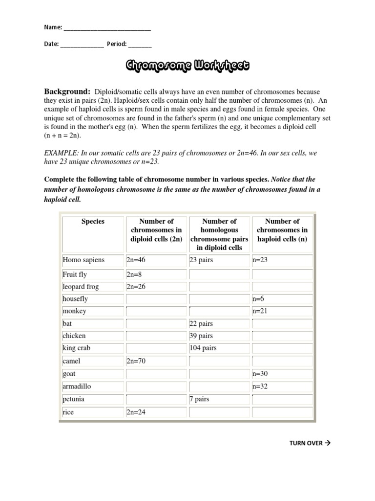 Chromosomes Worksheets PDF | PDF | Ploidy | Chromosome