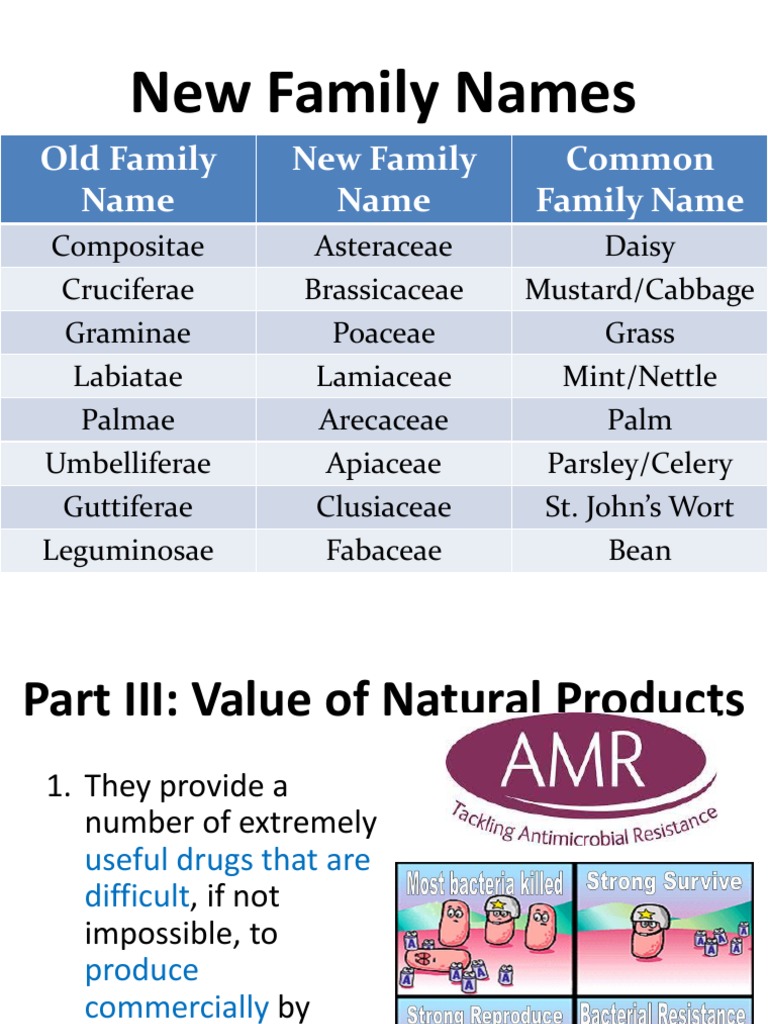 New Family Names: Old Family Name New Family Name Common Family Name ...