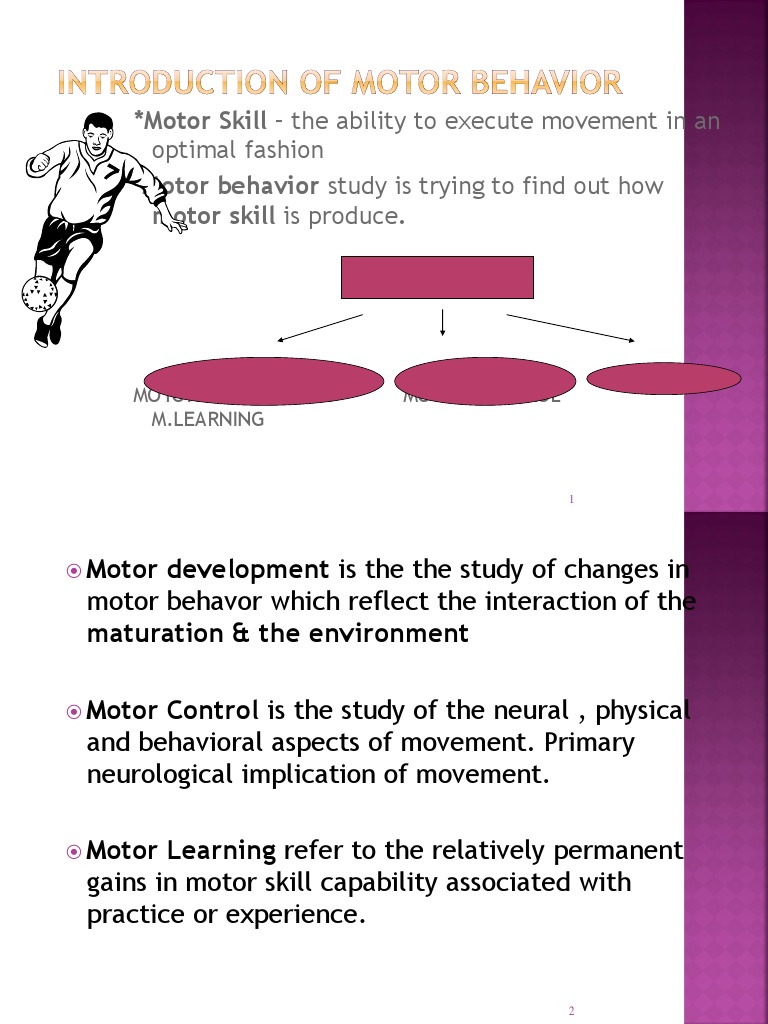Motor Skill - The Ability To Execute Movement in An: Optimal Fashion ...