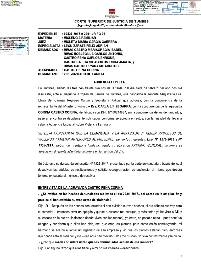 Resol 02 | PDF | Violencia | Derecho Constitucional