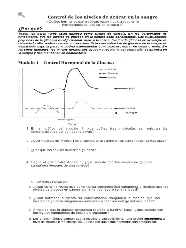 Regulación de la Glucosa en Sangre | PDF | Glucógeno | Insulina