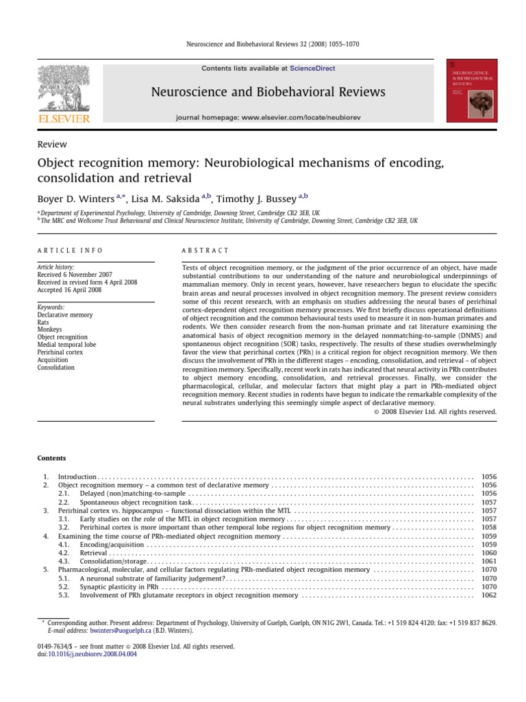 Object Recognition Memory | PDF | Hippocampus | Memory