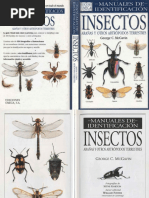 Triptico Insectos | PDF | Insectos | Mosca