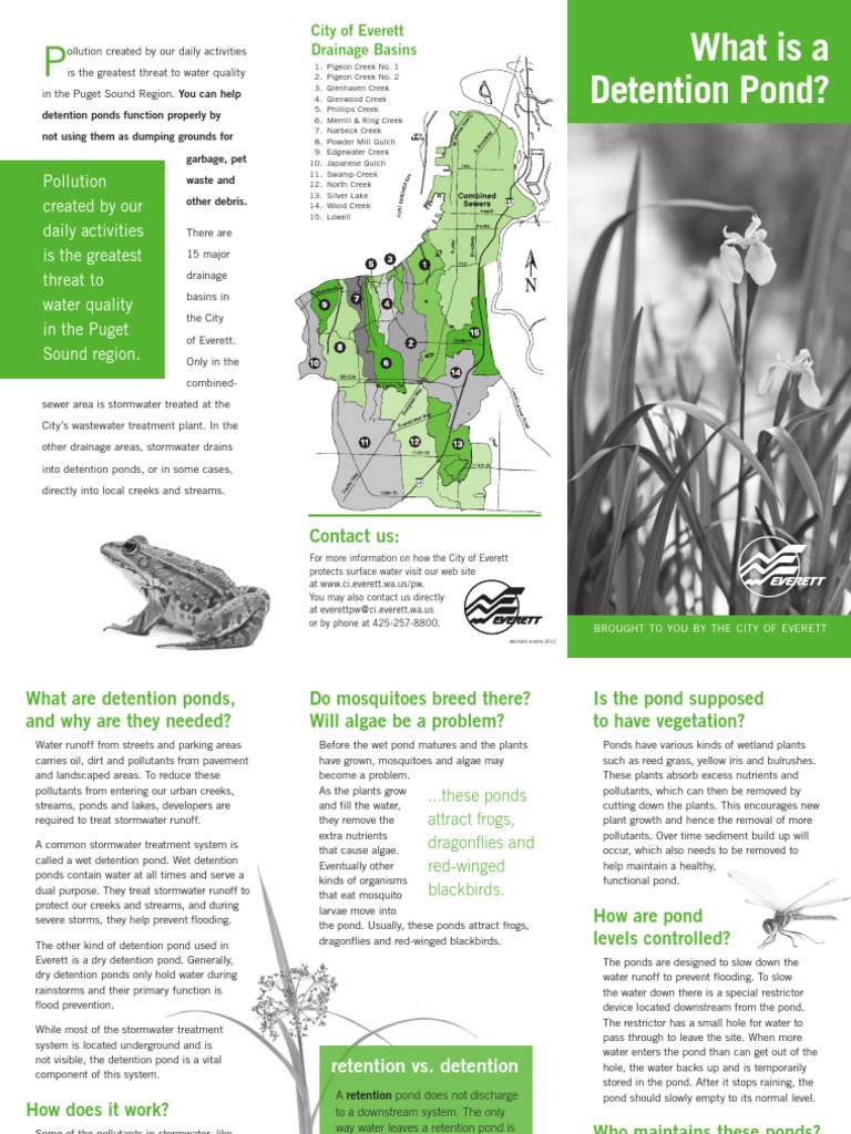 Understanding Detention Ponds in Everett | PDF | Pond | Stormwater