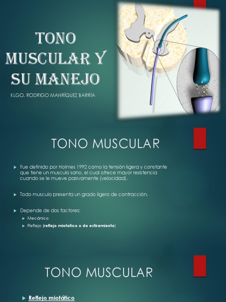Tono Muscular | PDF | Sistema nervioso | Neuroanatomía