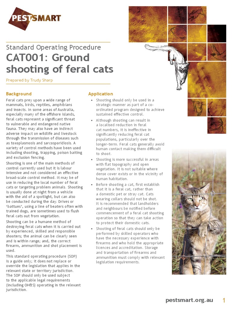 IPA Feral Cat Ecology | PDF | Cats | Firearms