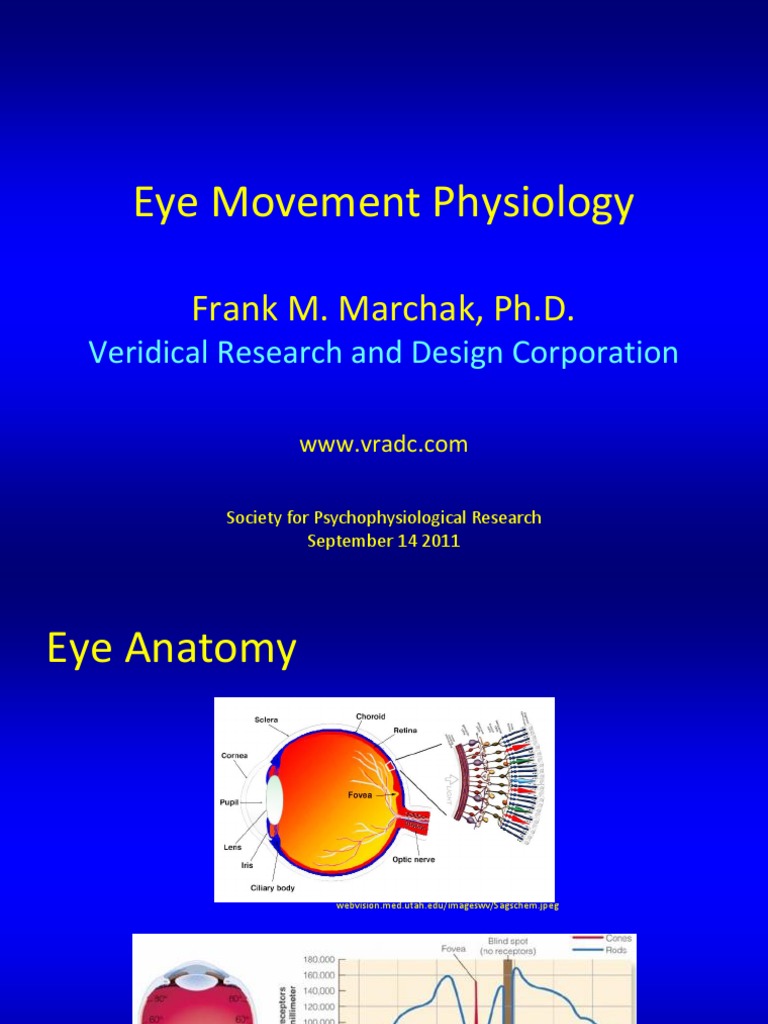 Eye Movement Physiology Overview | PDF | Neuroanatomy | Brain