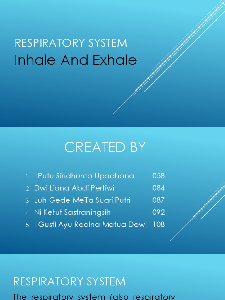 Respiratory System: Inhale and Exhale | PDF