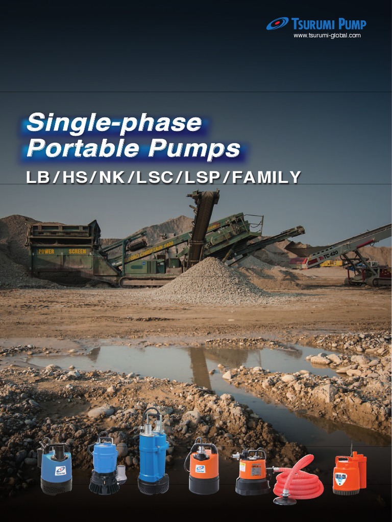 LB HS NK LSC LSP Family Ib101-F PDF | PDF | Pump | Switch