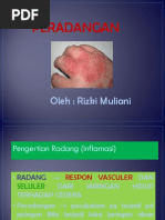 Proses Peradangan Patofisiologi | PDF