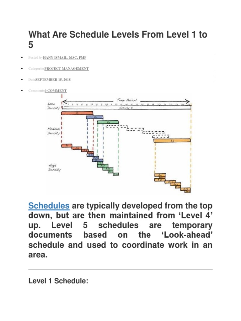 WSchedule Levels 1 To 5 | PDF | Project Management | Engineering