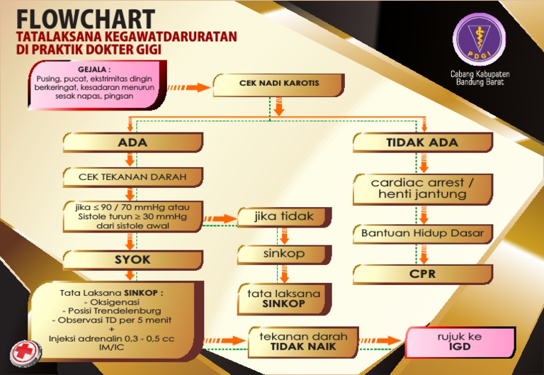 Flowchart Shock Management | PDF
