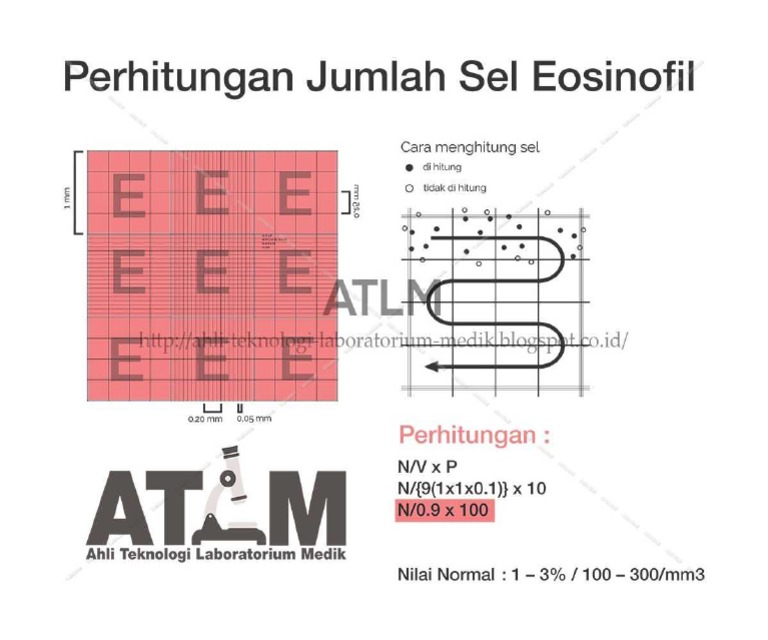 Hitung Jumlah Eosinofil PDF | PDF