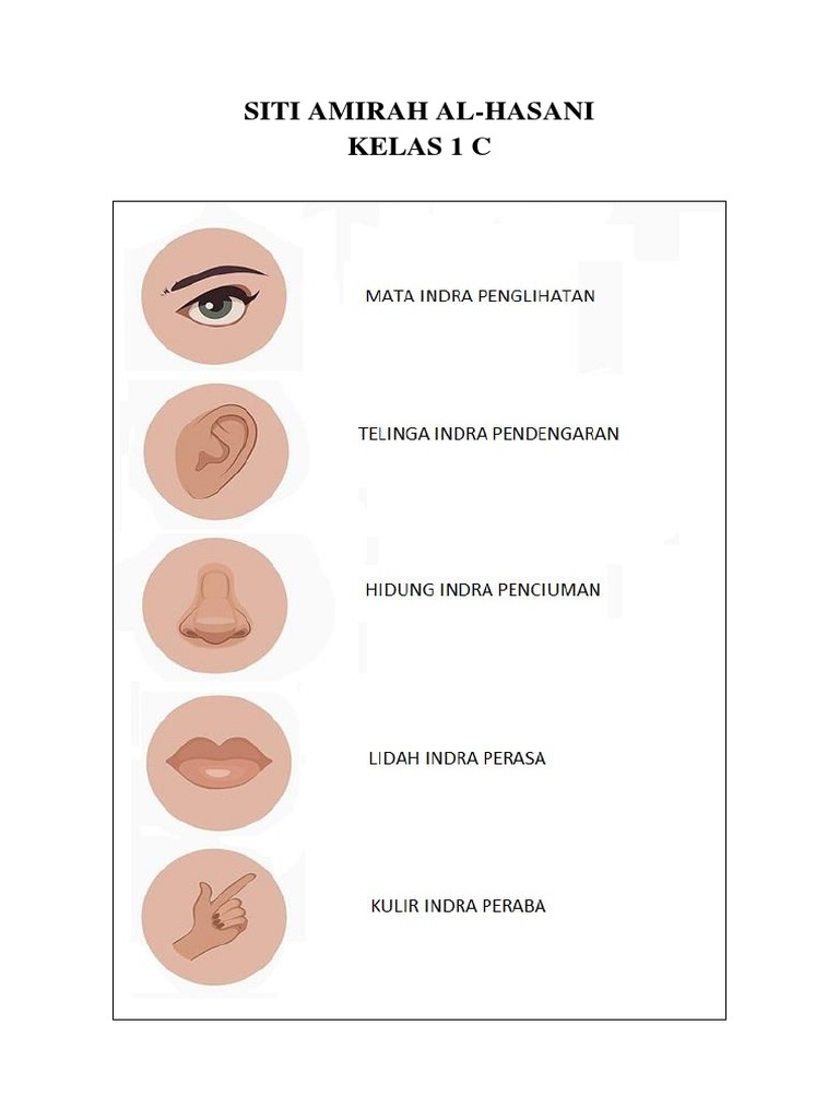 Siti Amirah Al-Hasani Kelas 1 C | PDF