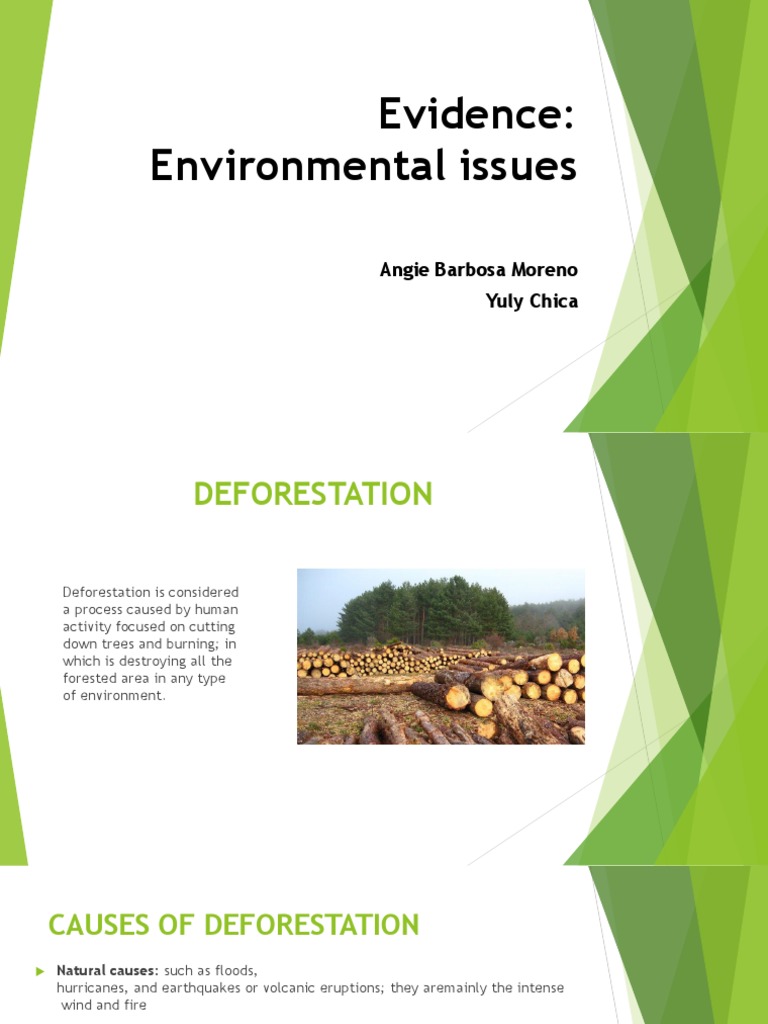 Evidence Environmental Issues | PDF | Deforestation | Trees