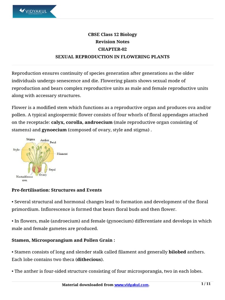 CBSE Class 12 Biology Revision Notes Chapter-02 Sexual Reproduction in ...