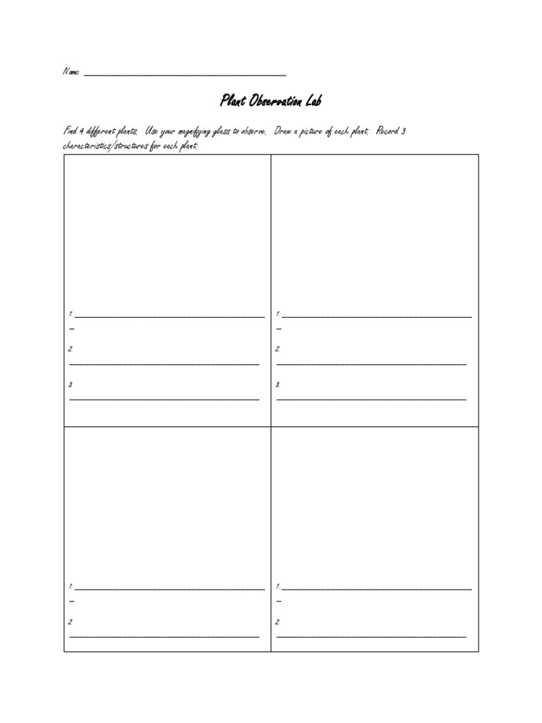 Plant Observation Lab | PDF