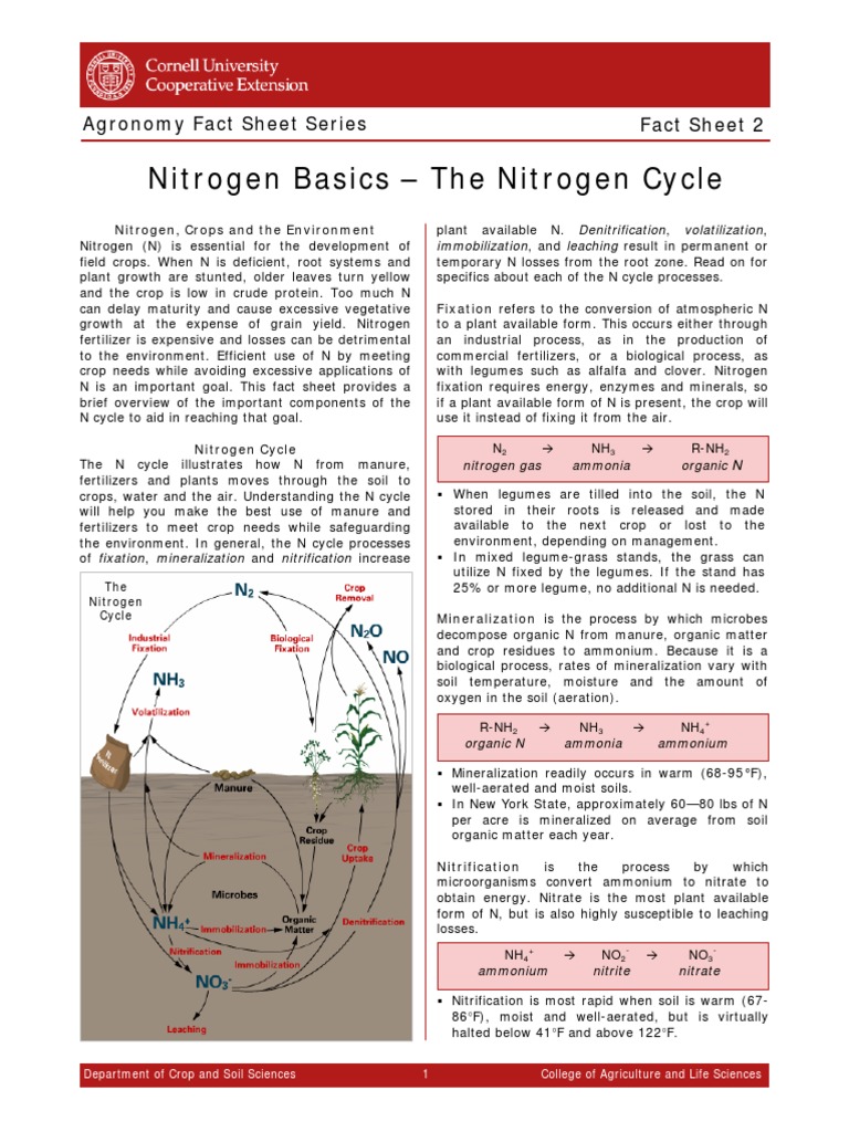 The Nitrogen Cycle | PDF | Fertilizer | Soil