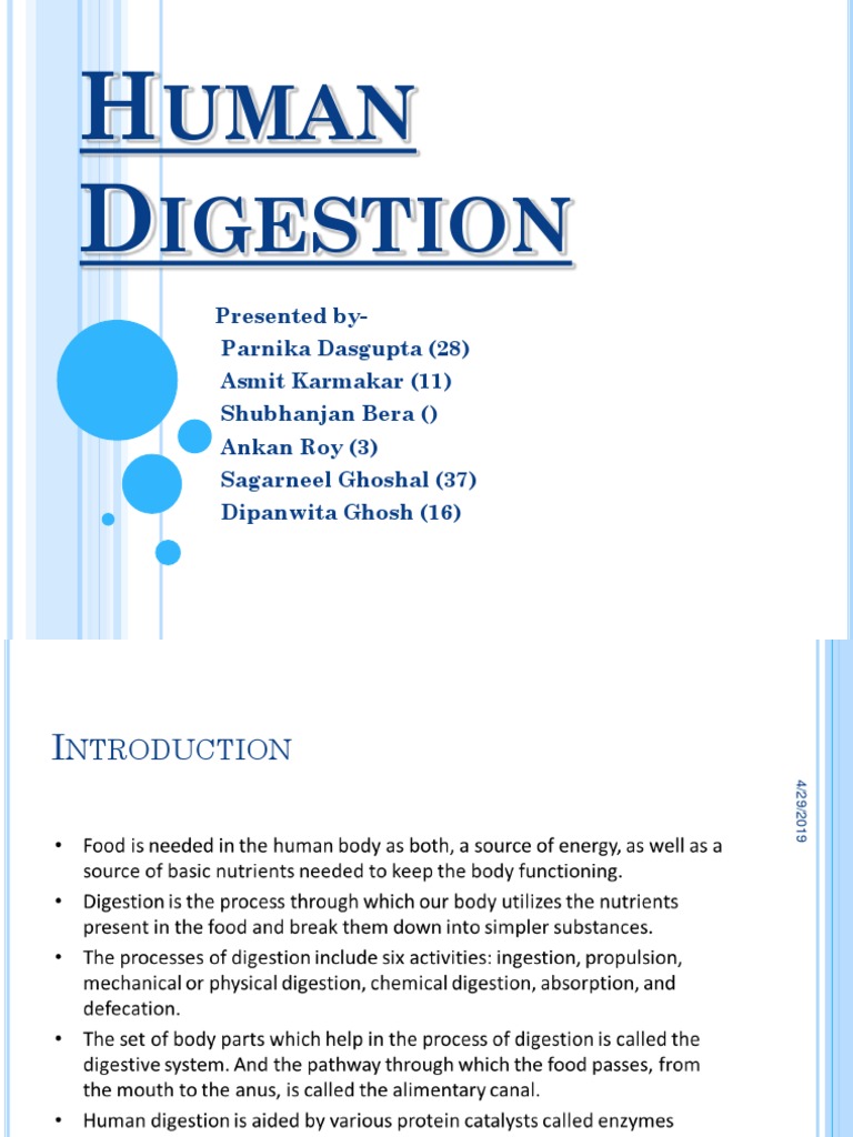 Human Digestion Process Explained | PDF | Digestion | Gastrointestinal ...