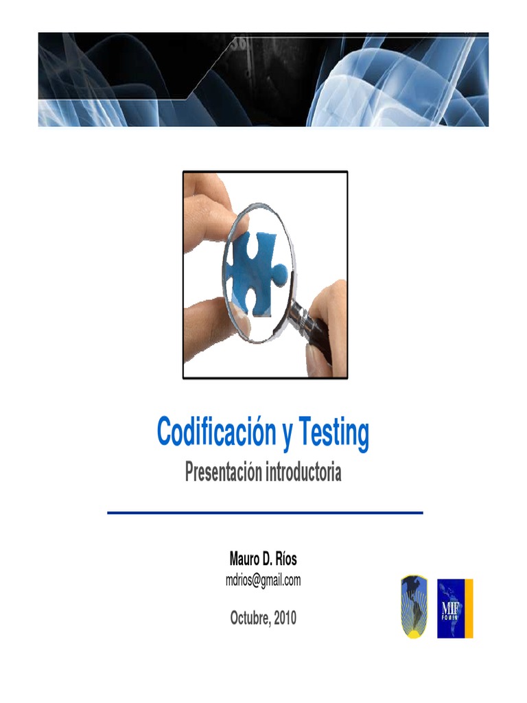 Capítulo 7 Codificación Del Software | PDF | Pruebas de software | Software