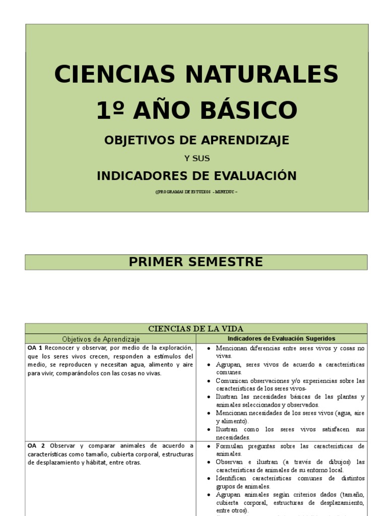 Objetivos y Evaluación en Ciencias 1º Básico | PDF | Plantas | Dom