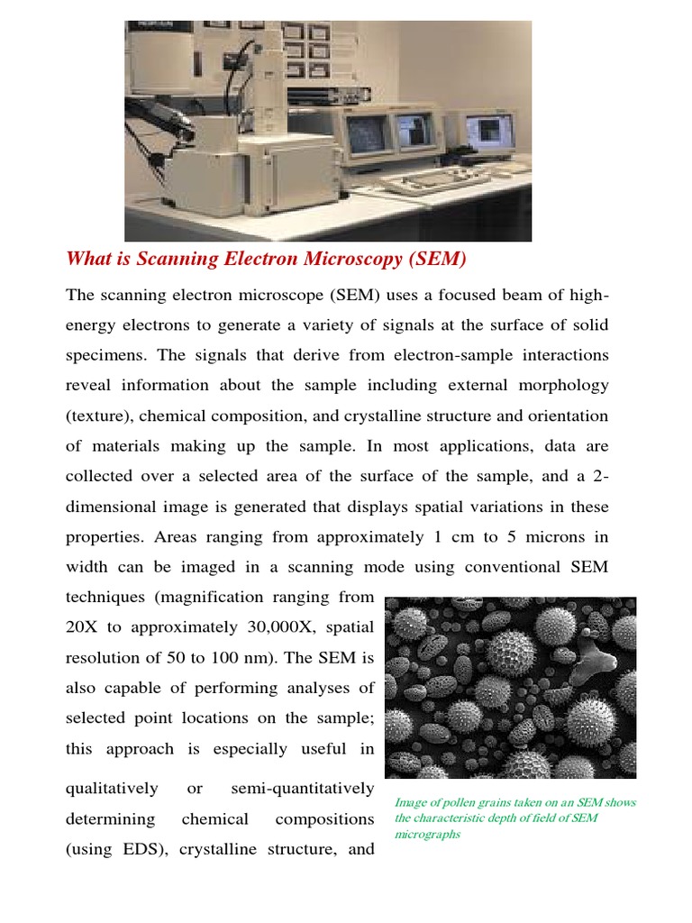 What Is Scanning Electron Micros | PDF | Scanning Electron Microscope ...