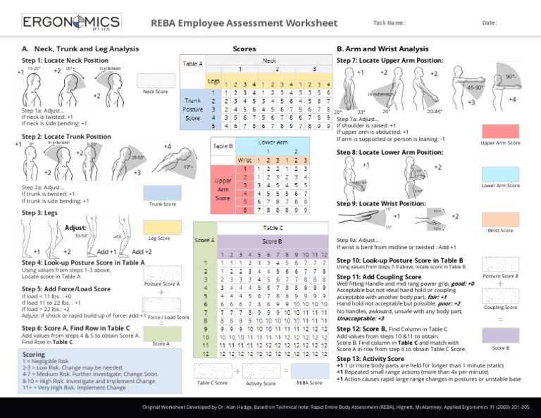 REBA Employee Assessment Worksheet: A. Neck, Trunk and Leg Analysis | PDF | Anatomical Terms Of ...
