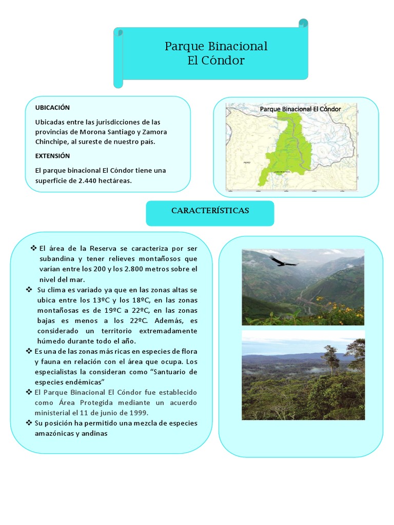 Parque Binacional El Cóndor: Biodiversidad y Paz | PDF | Ecuador ...
