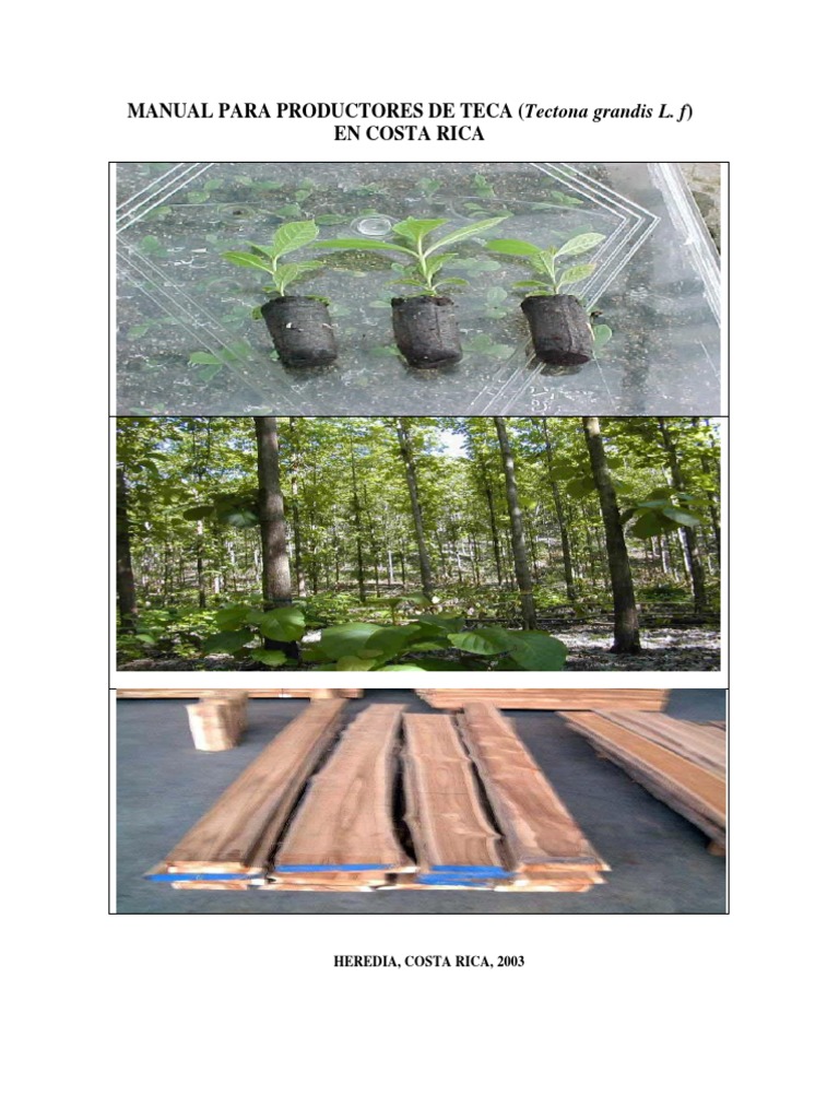 MANUAL de Vivero de Teca | PDF | Agricultura | Naturaleza