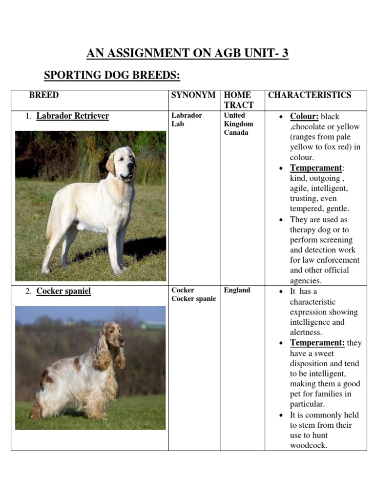 Different Breeds of Sporting and Nonsporting Dog Breeds | PDF ...
