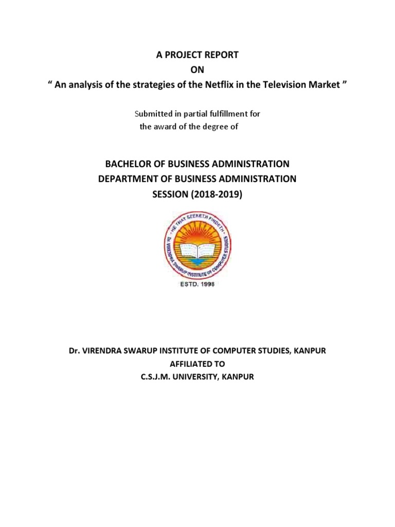 Netflix TV Strategy Analysis | PDF
