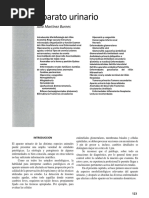 Placenta Embriologia Veterinaria | PDF | Placenta | Biología