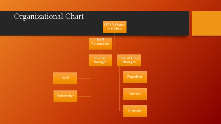 Organizational Chart: CEO & Owner President Staff Accountant | PDF