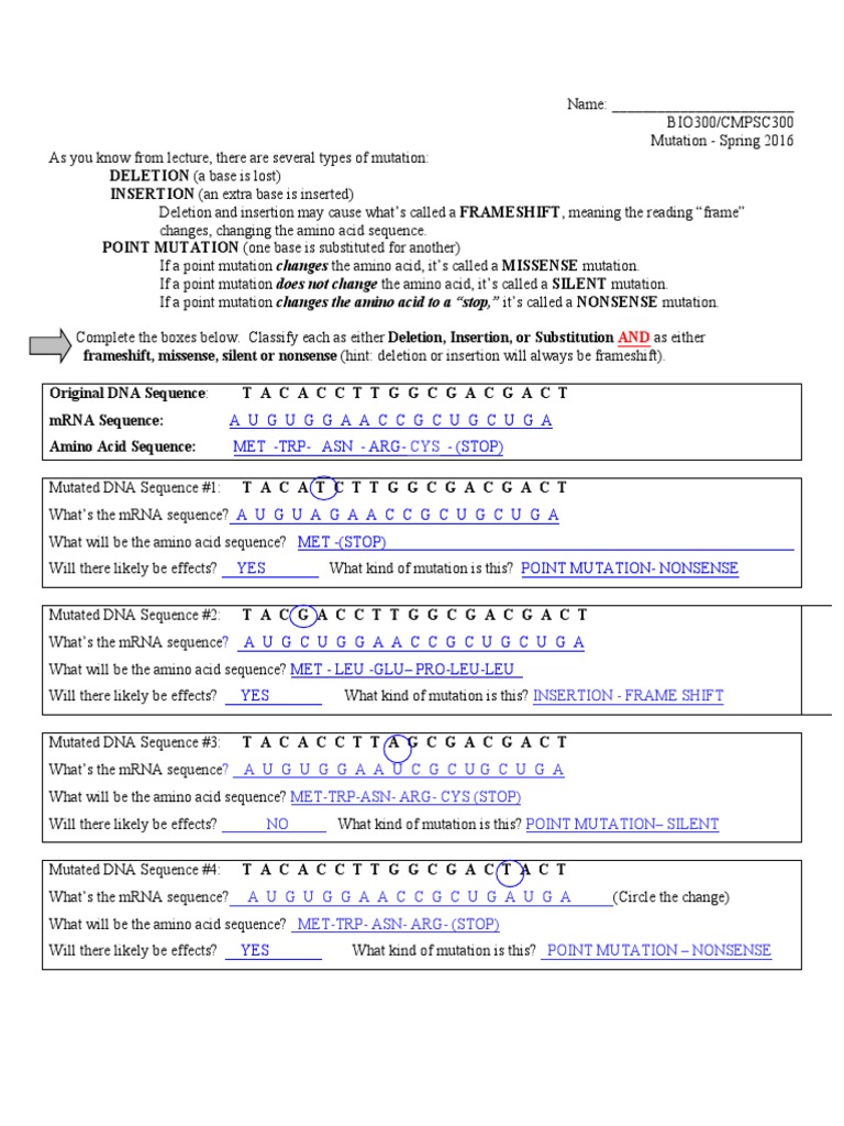 Dna Mutation Worksheet Key | PDF | Genetic Code | Point Mutation